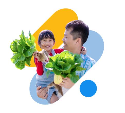 Bdo Life Bdo Unibank Inc